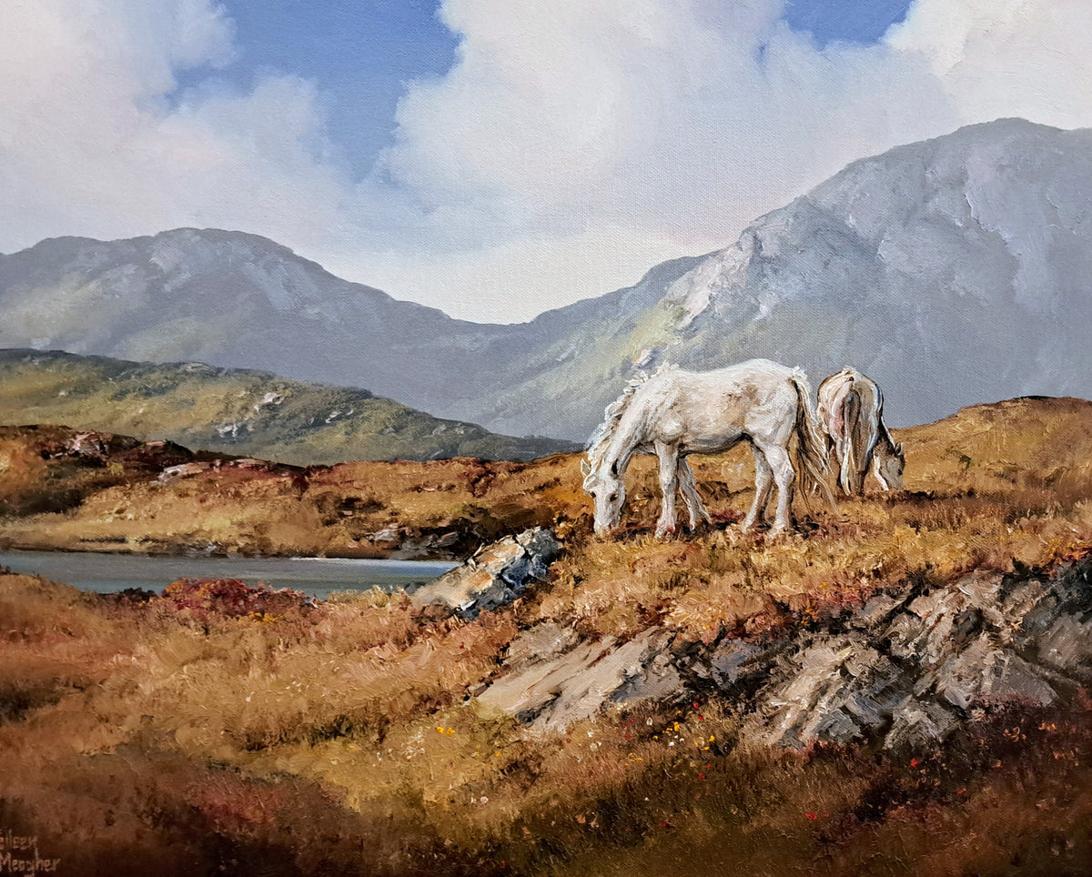 Irish Landscape paintings - Original art from leading Irish artists ...