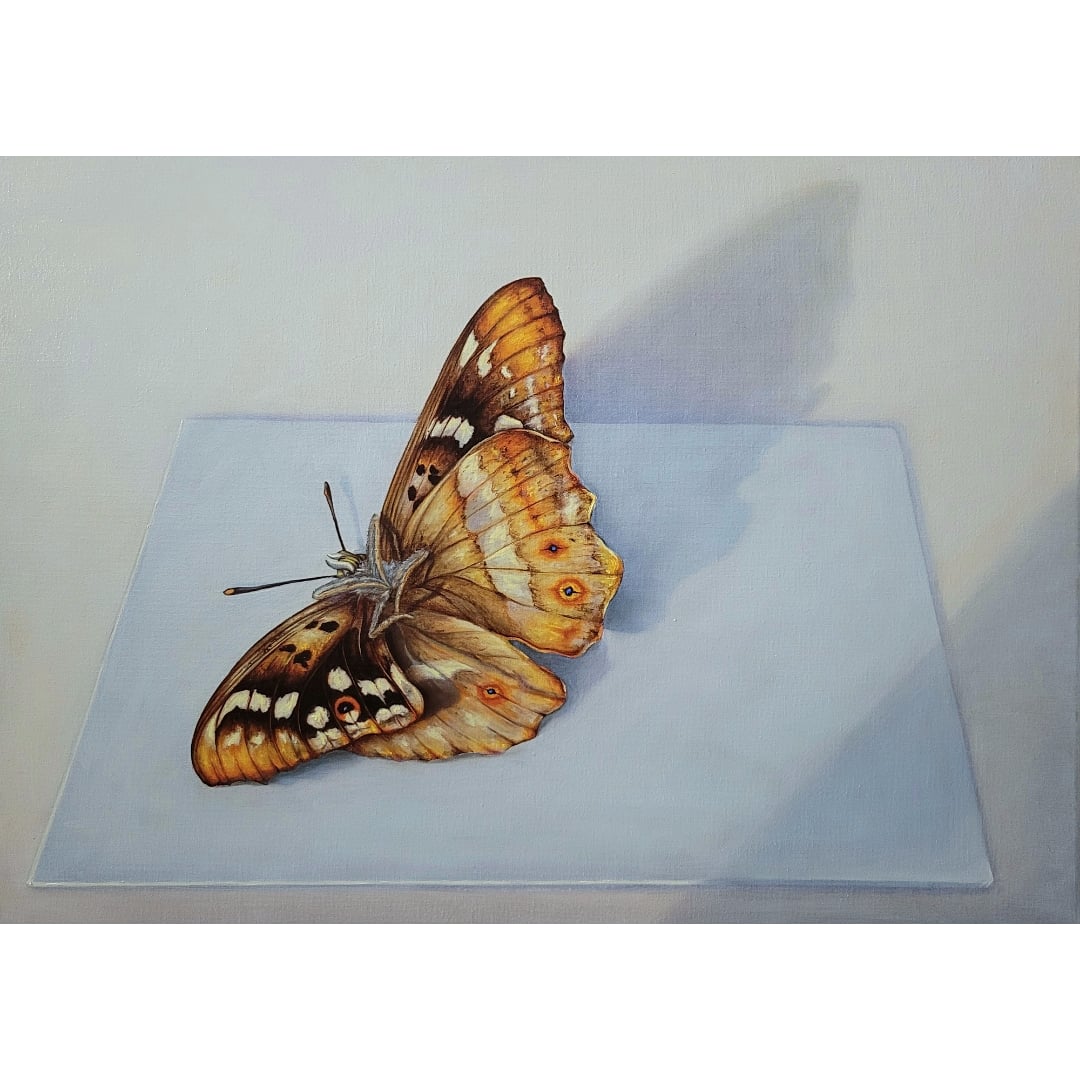 "Memento Mori" – The Kilkenny Art Gallery